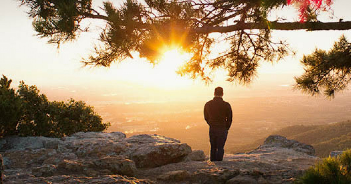 Dr Michael Vivian: Pioneering the Path to Innovative Healthcare ...